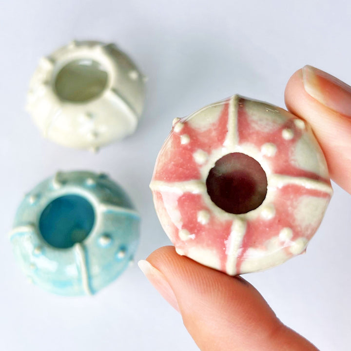 Shop | Alaska Salt Company – Alaska Salt Co.