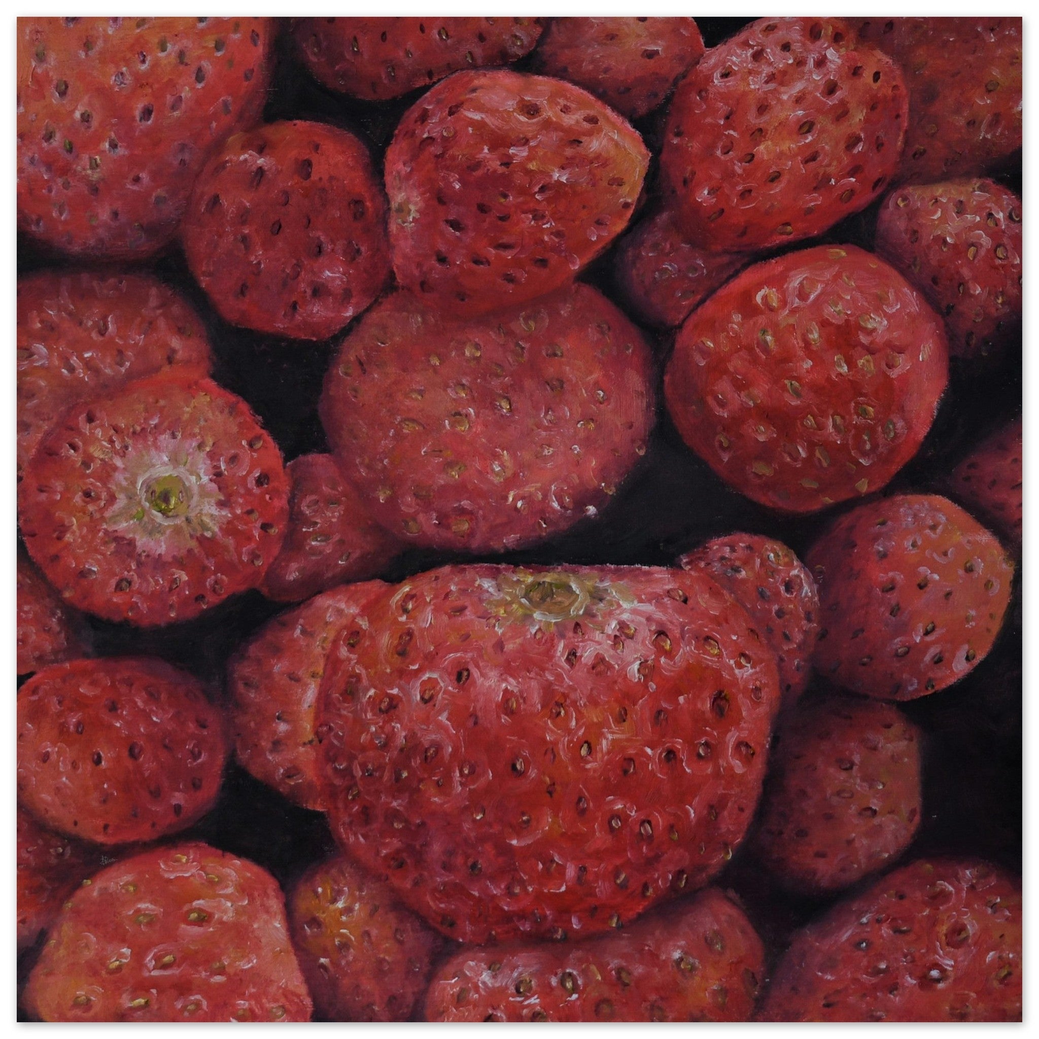 Summer Strawberries Prints – Alaska Salt Co.